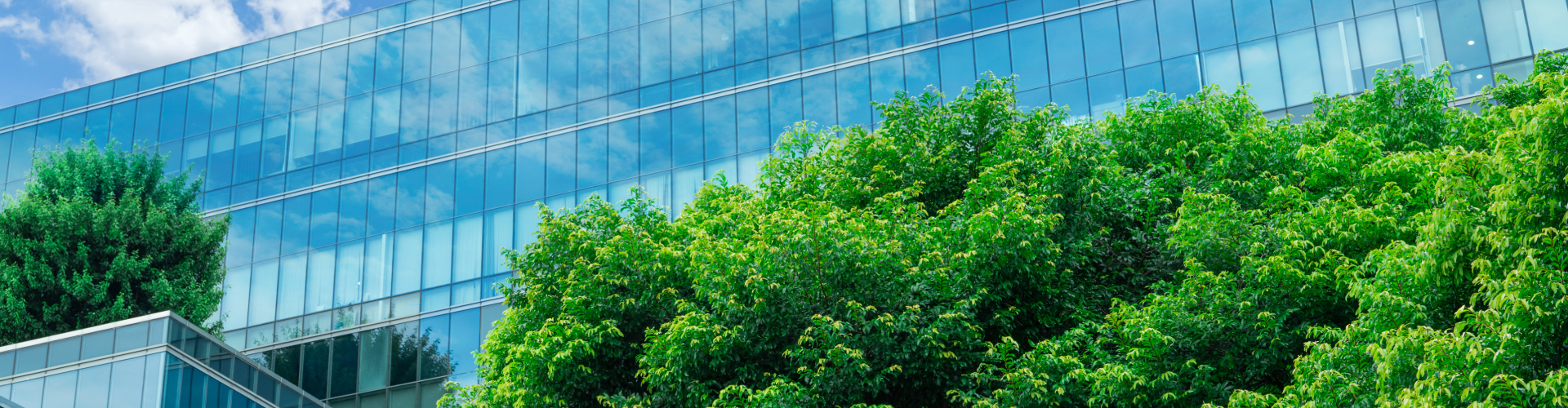 PENTENS T-100 Water-based PU Bituminous Waterproofing Membrane-Pentens ...